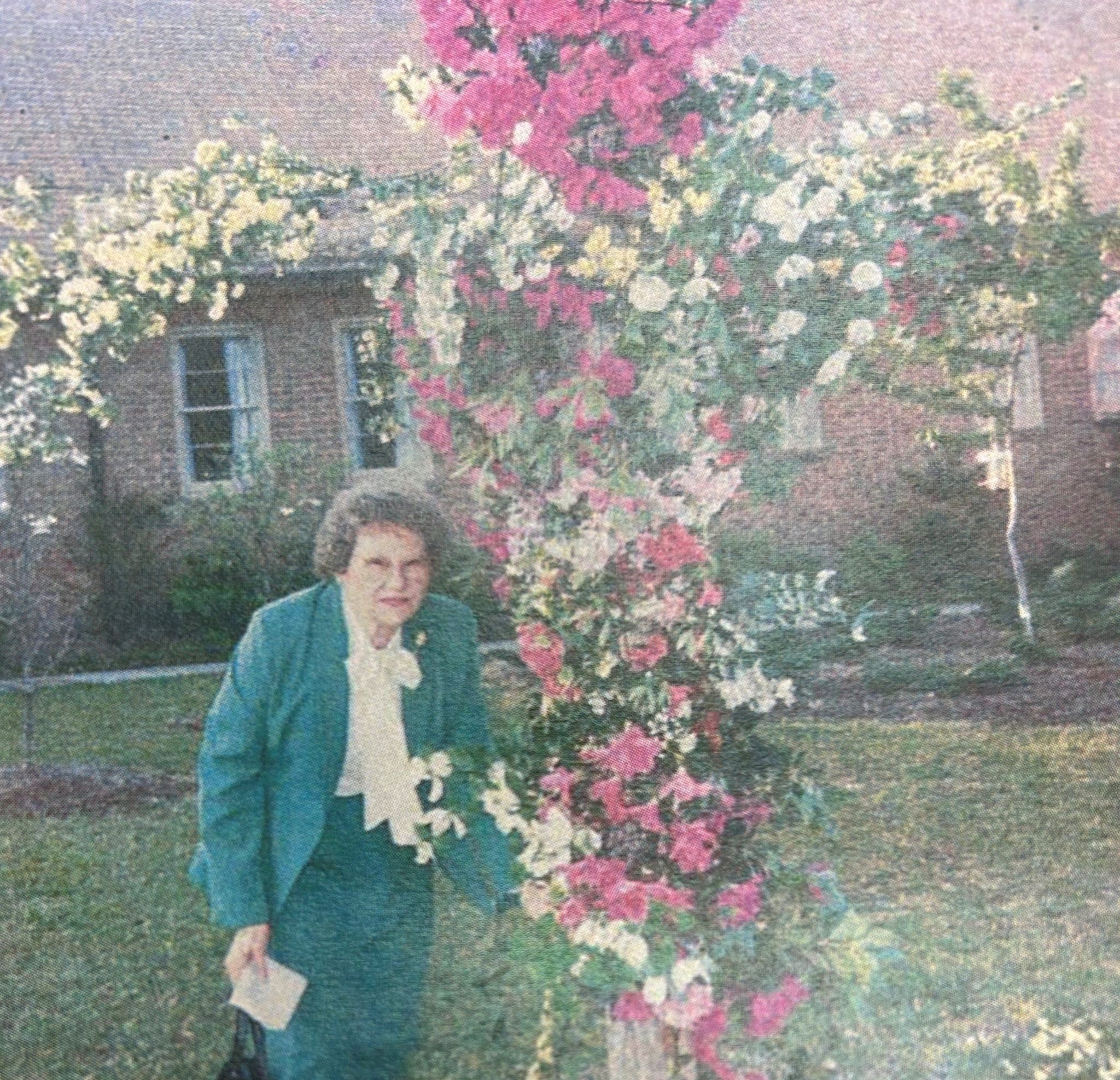 The Importance of Partnership - Persecution Project